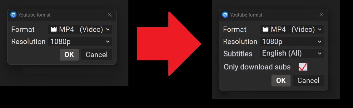 Feature Request Option To Download Subs Only · Issue 6565 · Kurtbestorhitomi Downloader · Github 