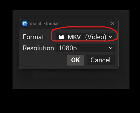 (Feature Request) MKV container format for video · Issue #6573 ...