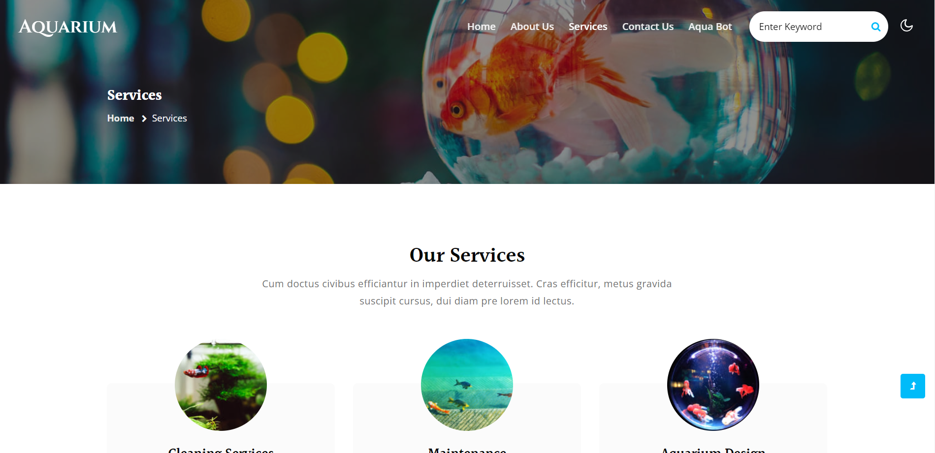 GitHub - 20a31a04s5/project7