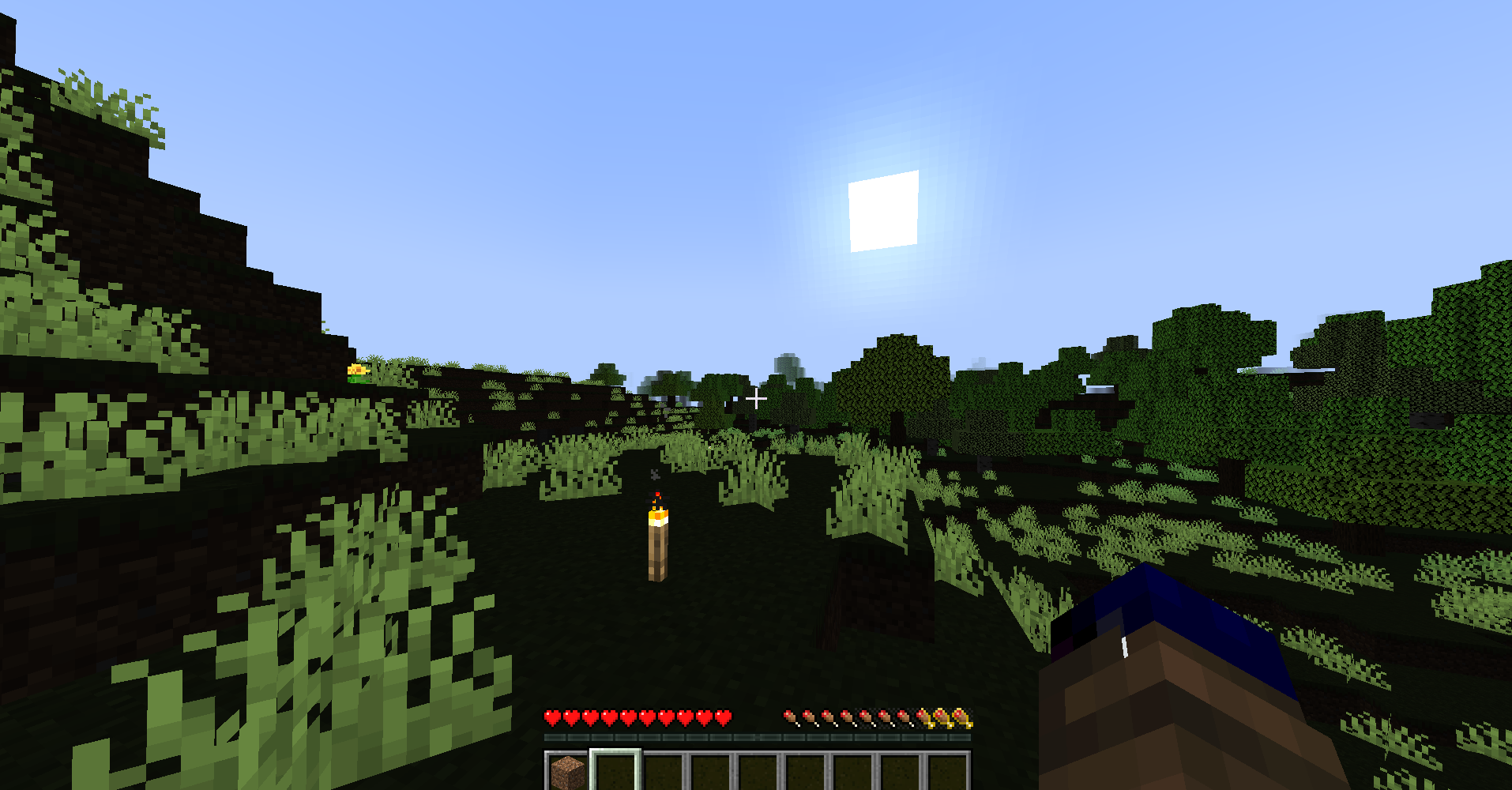 Blocks are dark. Lightning broken. · Issue #509 · Asek3/Rubidium · GitHub