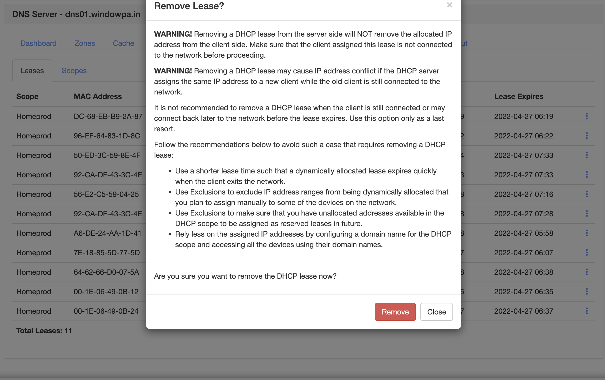 Removing a duplicate lease removes the wrong lease · Issue #385 · TechnitiumSoftware/DnsServer ...