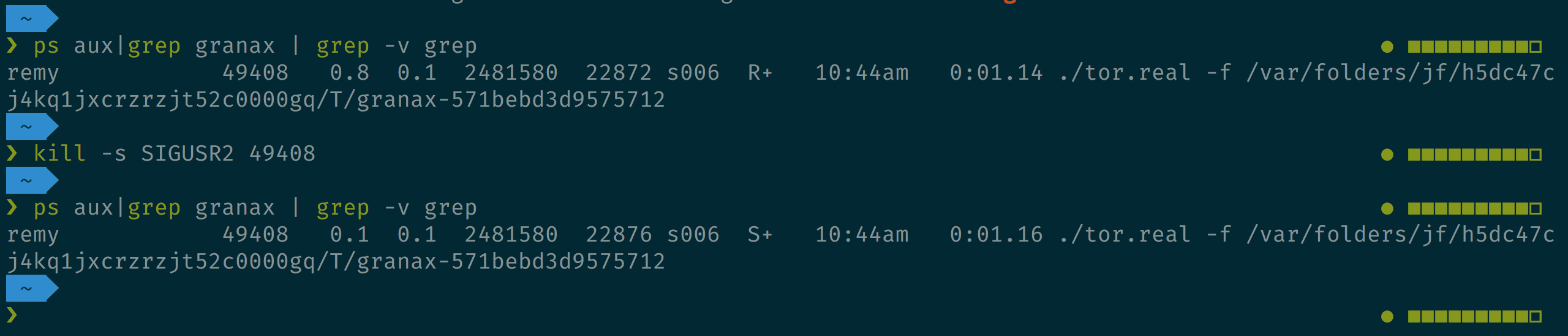 Child process not receiving SIGTERM · Issue #1175 · remy/nodemon · GitHub