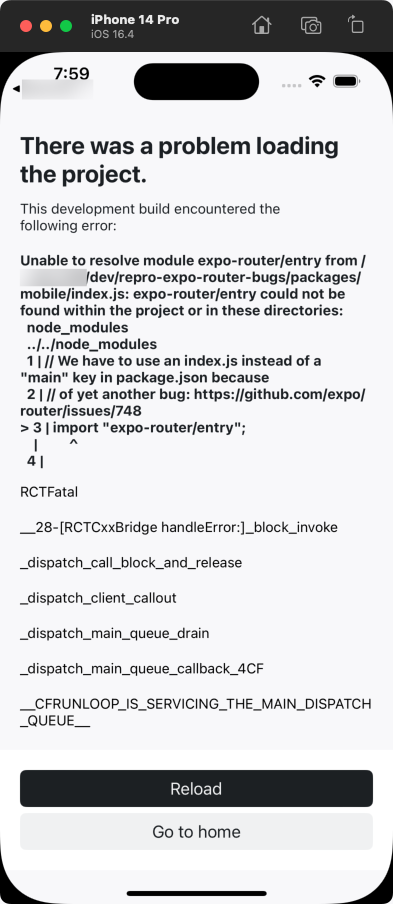 Using A Typescript Nfigts With Expo Router V2 In A Monorepo Fails With Unable To 4867