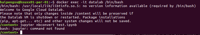 jupyter and nbconvert can not be run outside notebooks · Issue #1978 · googledatalab/datalab ...