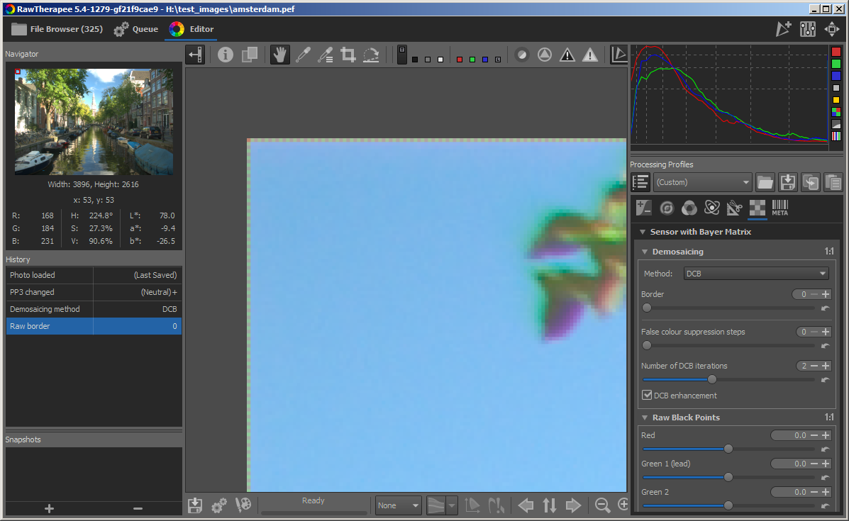 Wrong border interpolation when using DCB with raw border = 0 · Issue #5047 · RawTherapee ...