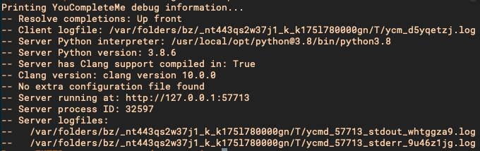 No such file or directory, lstat '/Users/rai/.vim/plugged/youcompleteme/third_party/ycmd/third ...