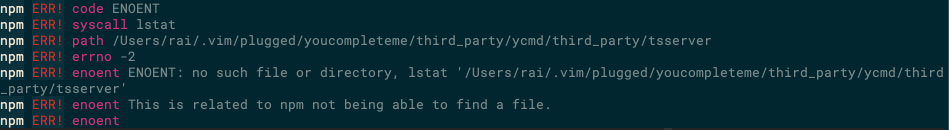 No such file or directory, lstat '/Users/rai/.vim/plugged/youcompleteme/third_party/ycmd/third ...