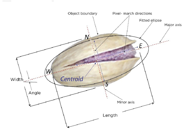 GitHub - abisugiri/pistachio-types-prediction-project: Classifying types of pistachio