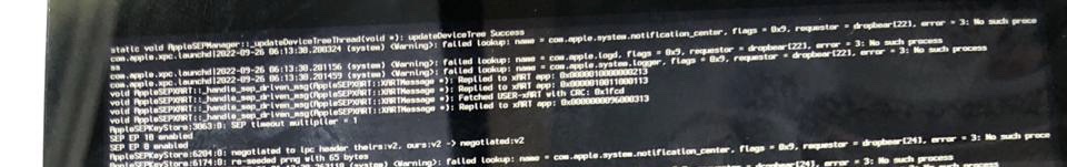 PLEASE READ MAY HELP Ipad 5th gen boot issue ios15.7 panic same sa ipx · Issue #87 ...