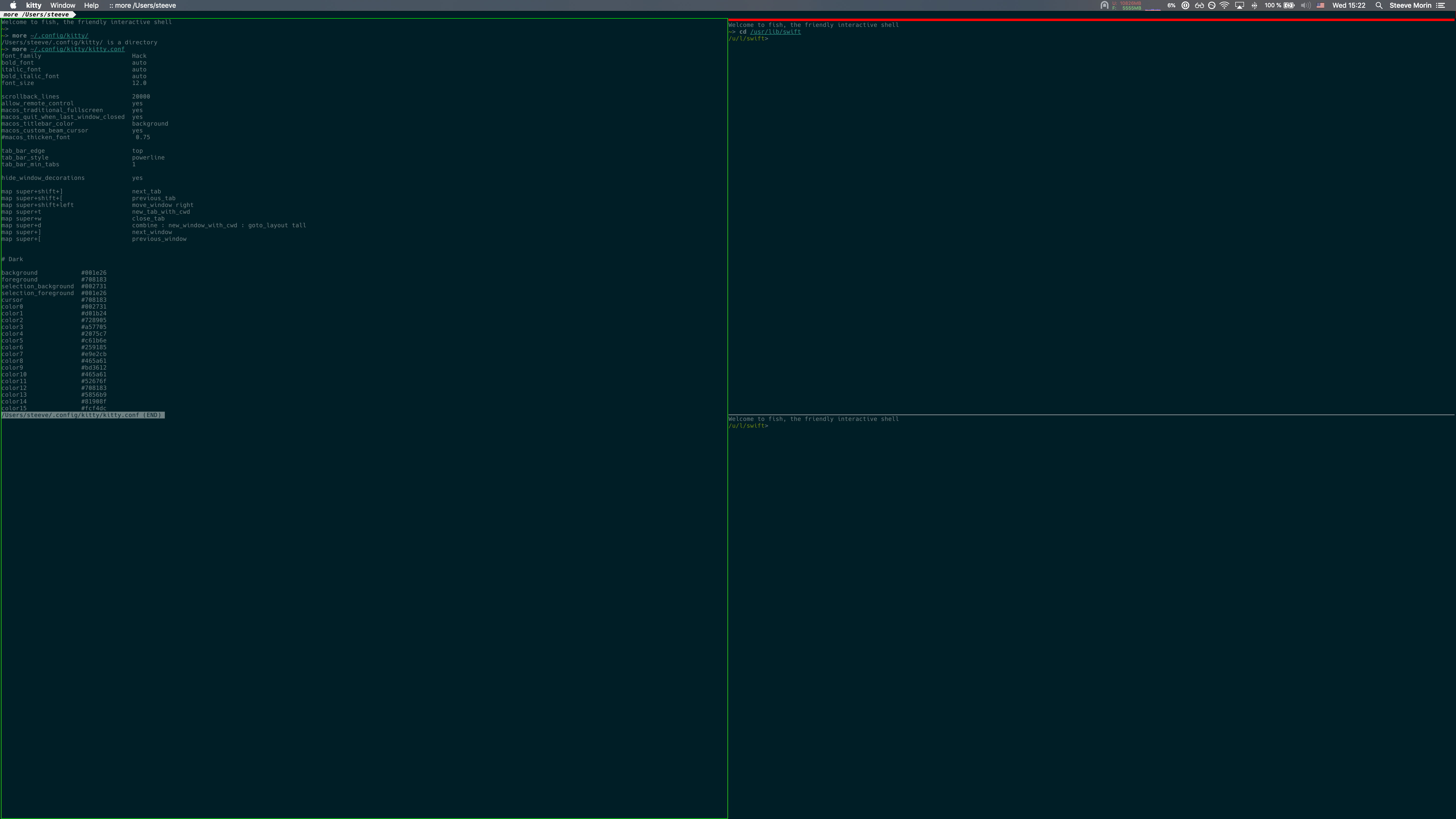 Rendering glitch with Fira Code font in multiple windows on macOS ...