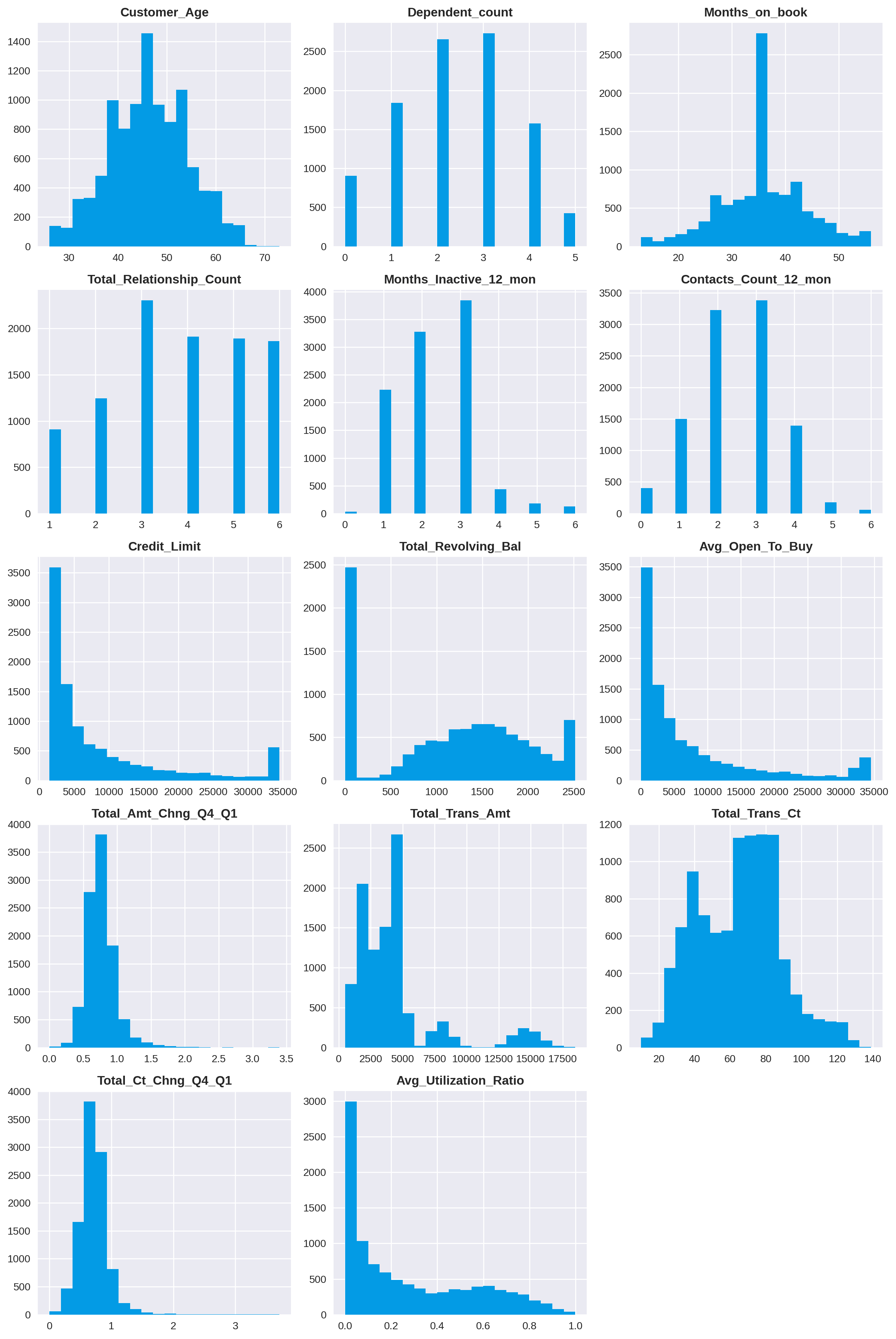 GitHub - AuntiesSnail/DADS5001-Mini-Project: This project studied "Credit Card Churning" through ...