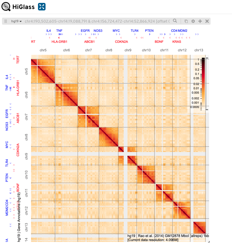 chromosome grid is listed first in exported json · Issue #562 · higlass/higlass · GitHub