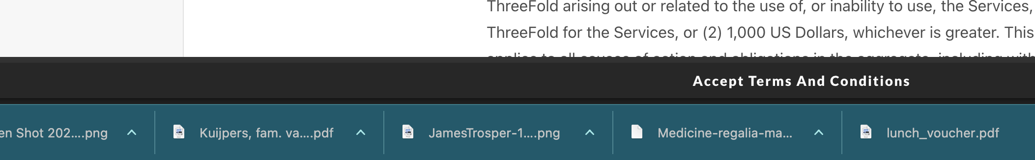 Terms and conditions "accept" button at the bottom does not jump out for me. · Issue #1306 ...