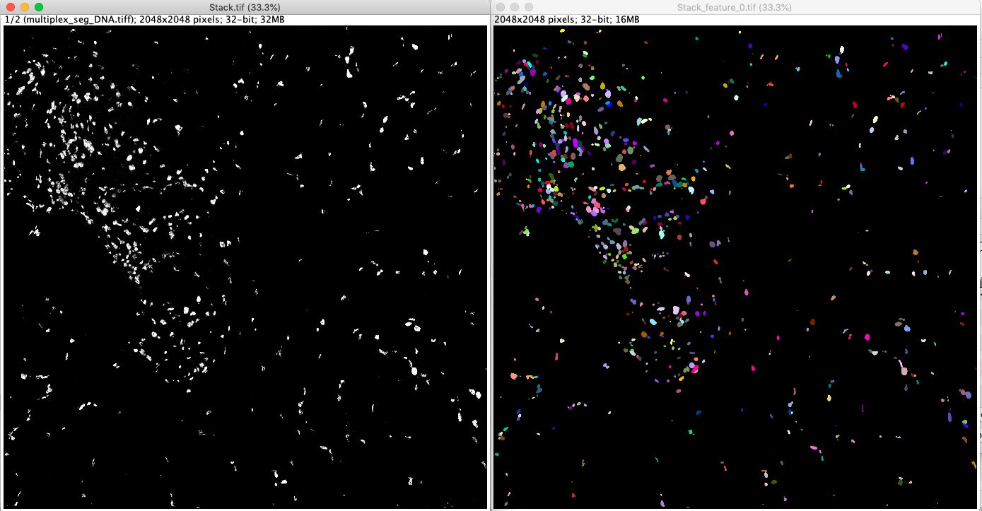 Deepcell predicts huge and empty cells in data · Issue #465 · vanvalenlab/deepcell-tf · GitHub