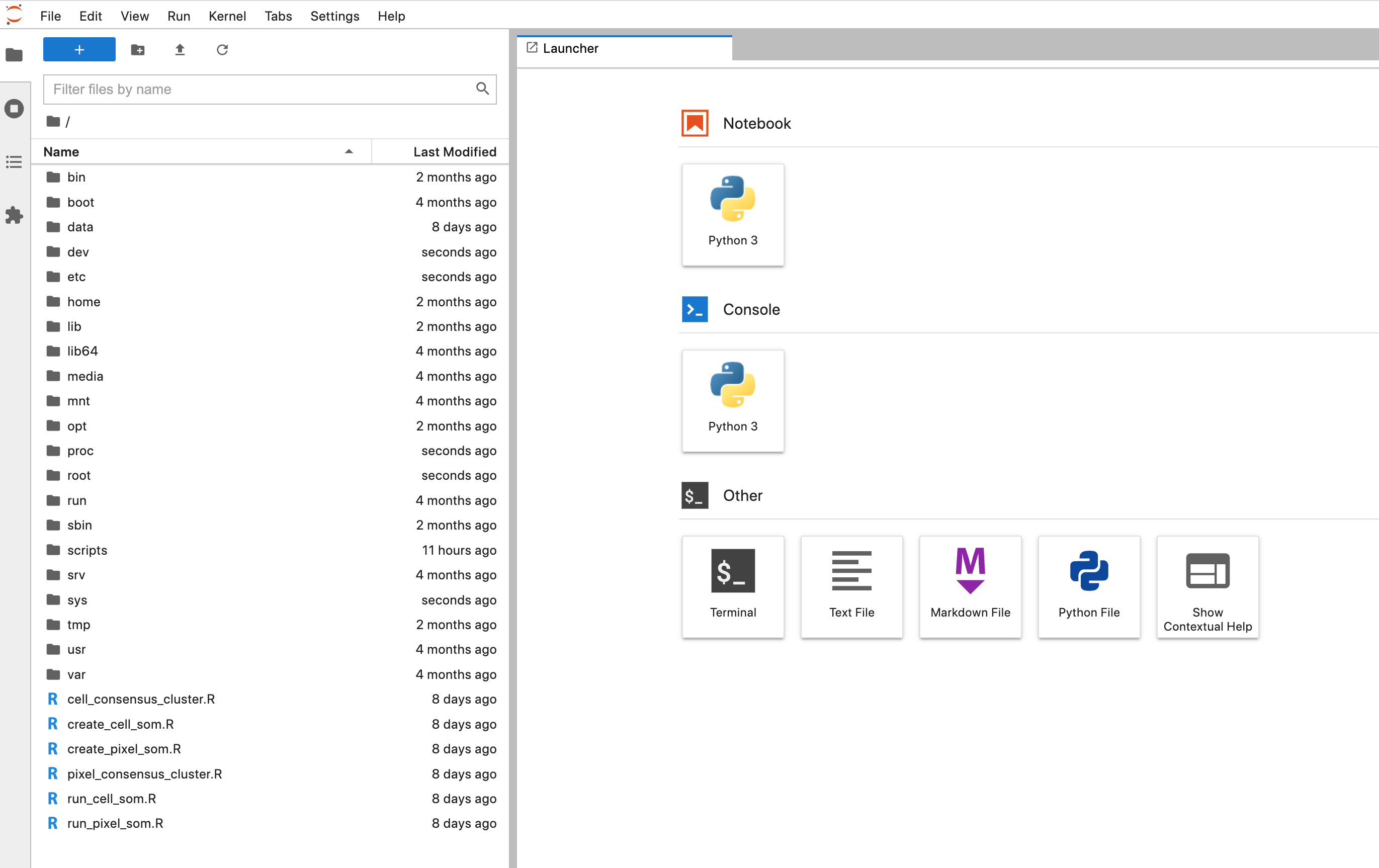 Docker Does Not Open Jupyter Lab In Scripts Folder · Issue 526 8583