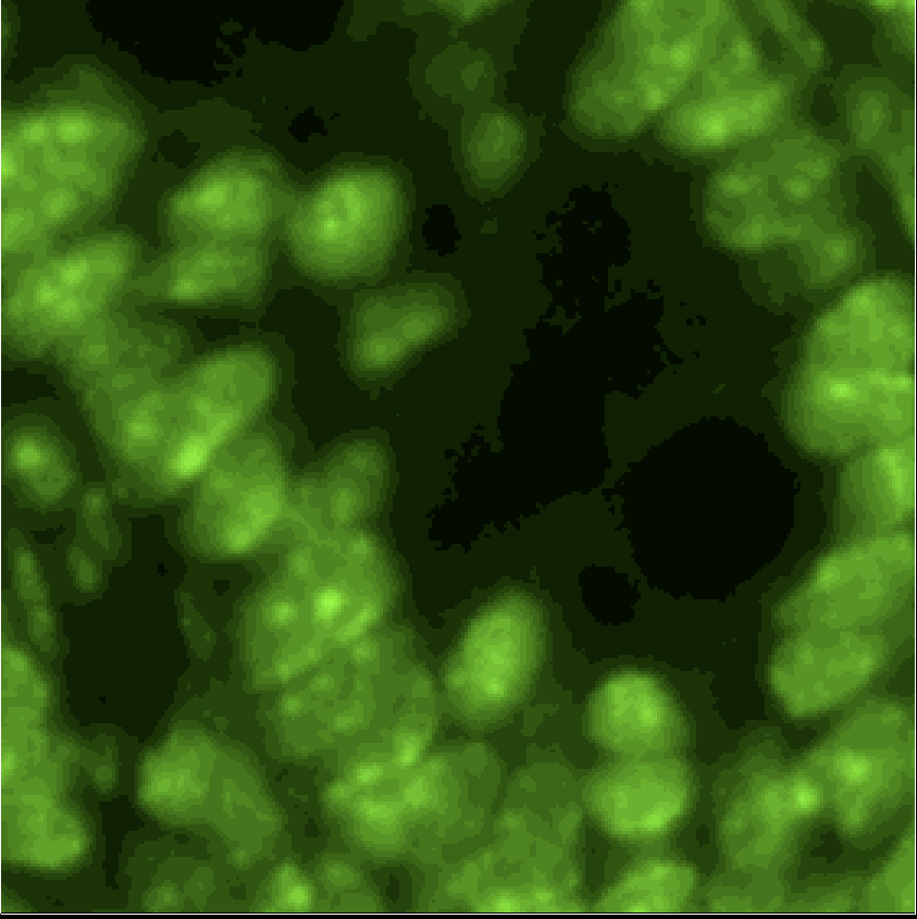 rgb mode rendering/image thresholding issue · Issue #104 · vanvalenlab/deepcell-label · GitHub