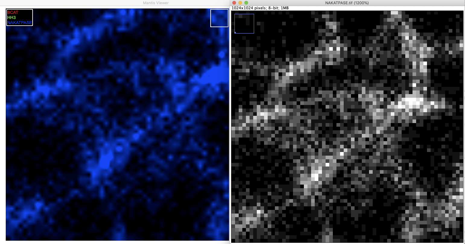 Add option to control image blurring · Issue #27 · CANDELbio/mantis-viewer · GitHub