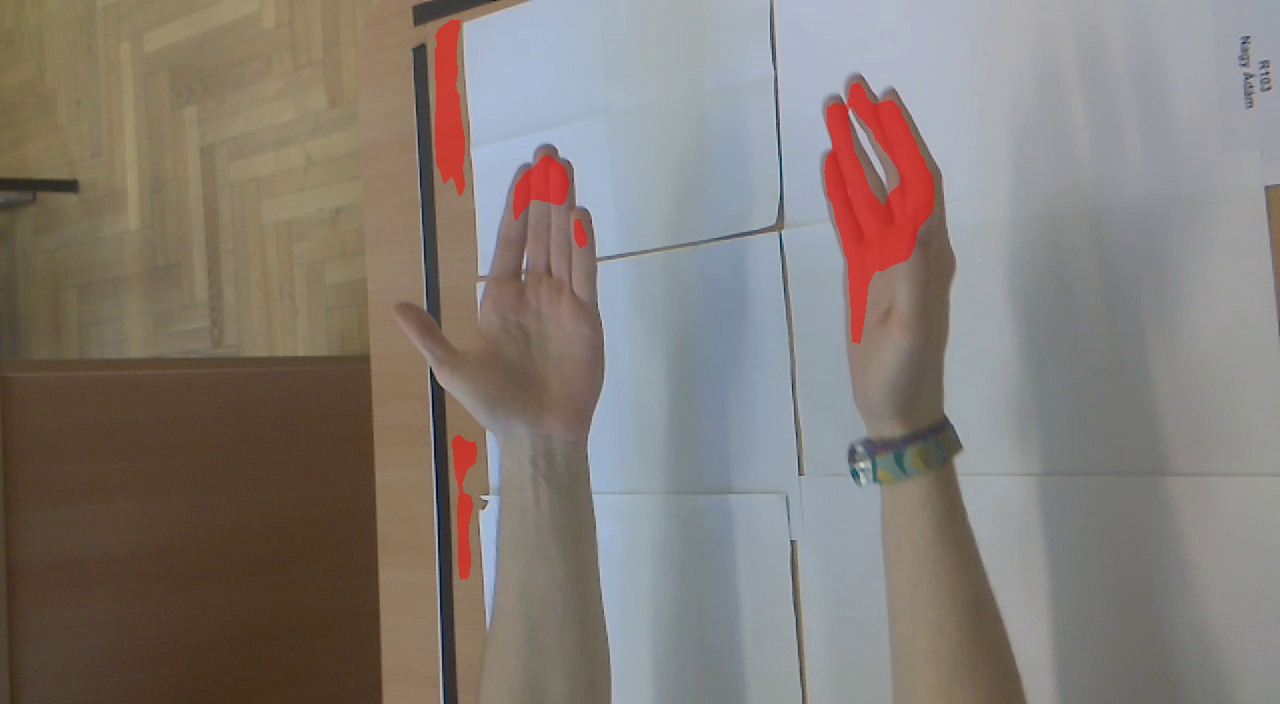 Real Time Segmentation · Issue 1 · Willbrennansemanticsegmentation 9136