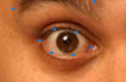 Accuracy of Eyes compared to Dlib · Issue #45 · 1adrianb/face-alignment ...