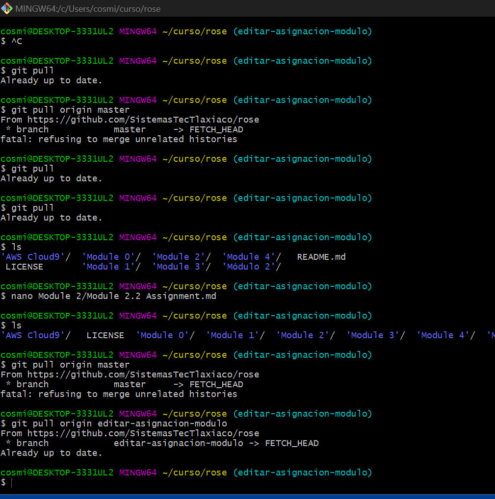 Asignación del módulo 2.2 · Issue #6 · SistemasTecTlaxiaco/rose · GitHub