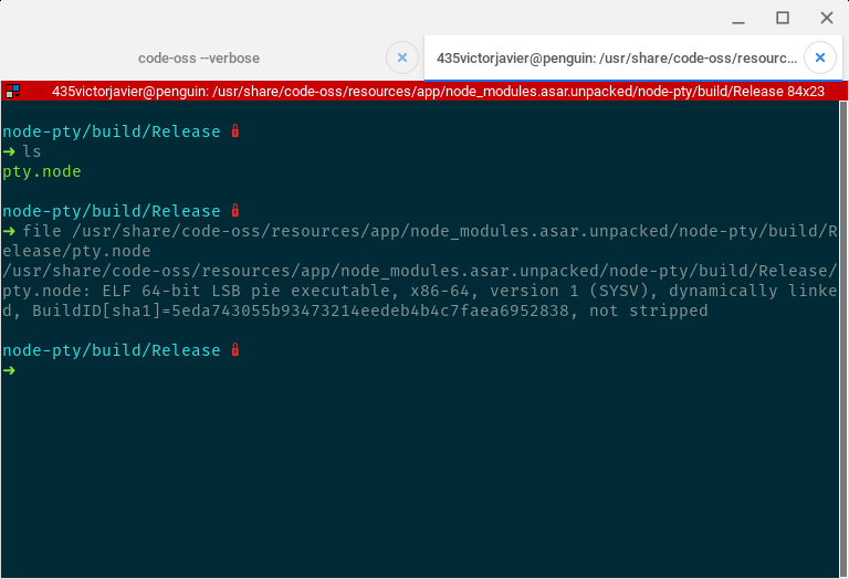 Build: Loading "node-pty" failed after cross-compiling to arm64 · Issue #61623 · microsoft ...