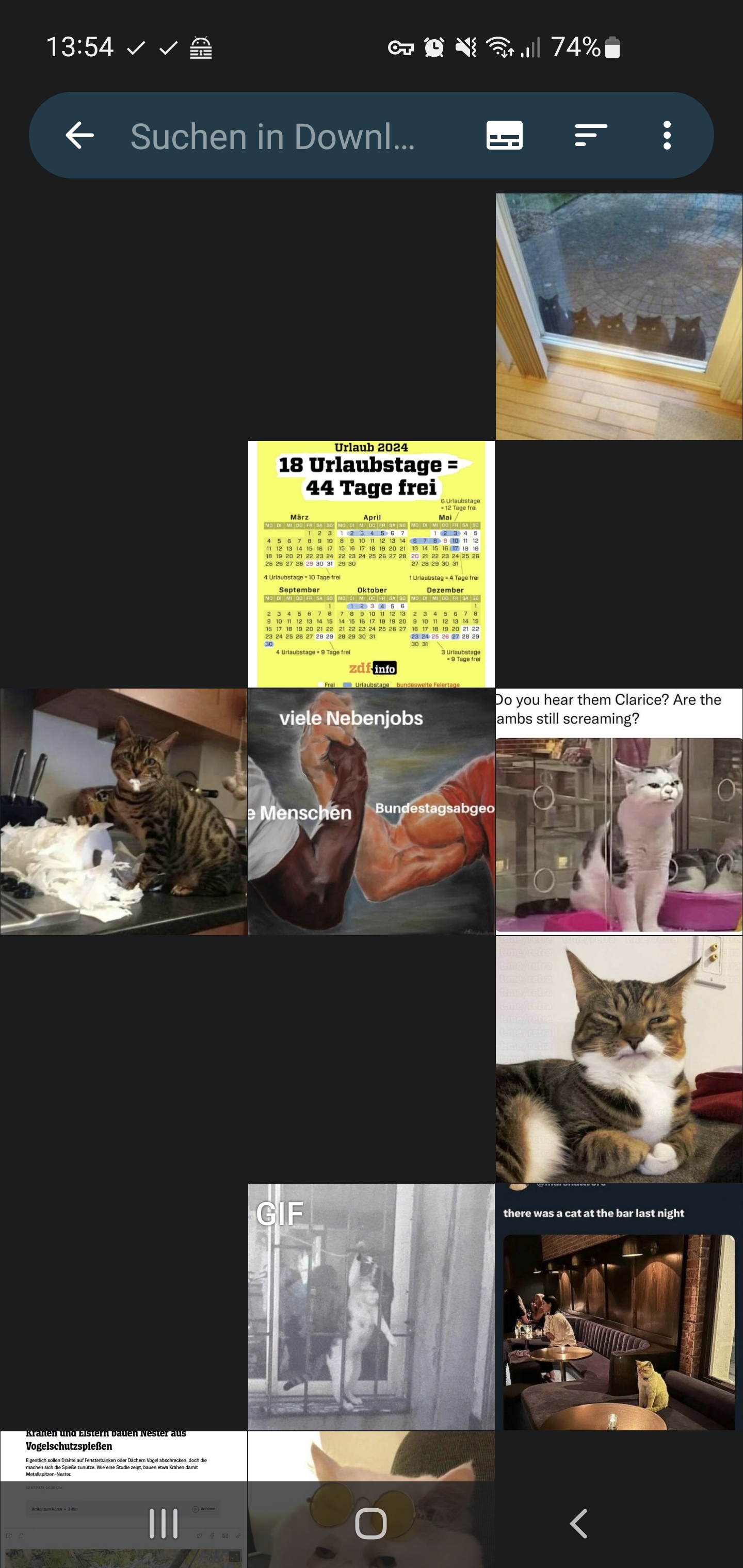 Animated webp files are black in the grid view · Issue #2966 · SimpleMobileTools/Simple-Gallery ...