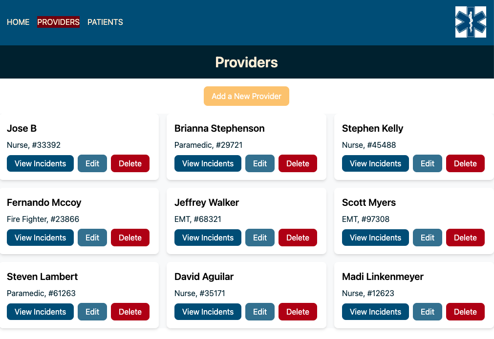 GitHub - vanessa-jesik/provider-portal