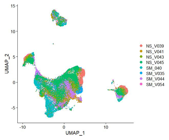 Analyzing public data does not result in the same UMAP graph · Issue ...