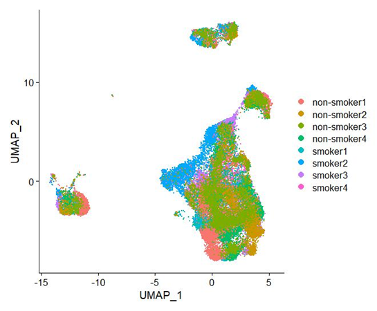 Analyzing public data does not result in the same UMAP graph · Issue ...