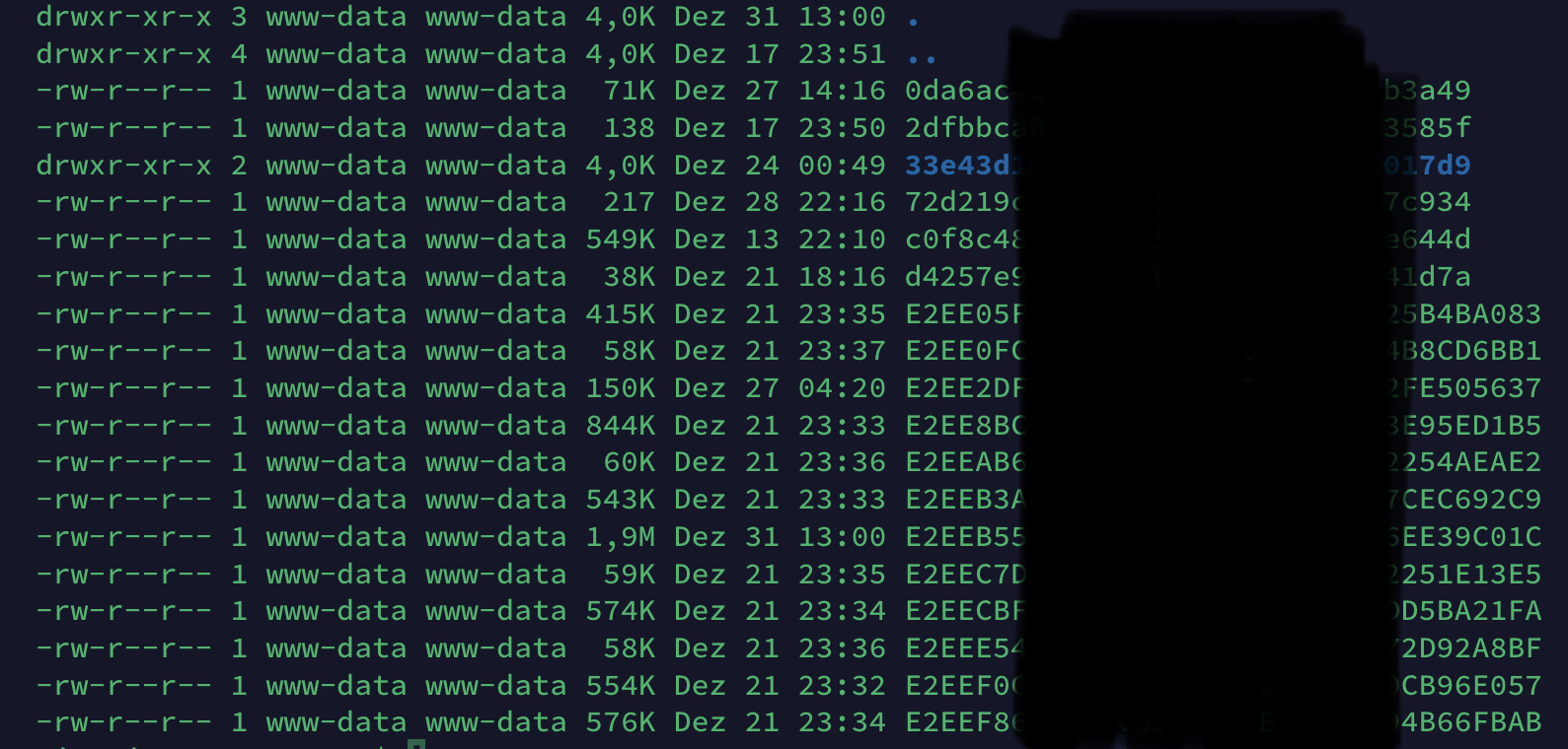 E2e 1111 Does Not Work Properly And Is Automatically Selected · Issue 374 · Nextcloudendto
