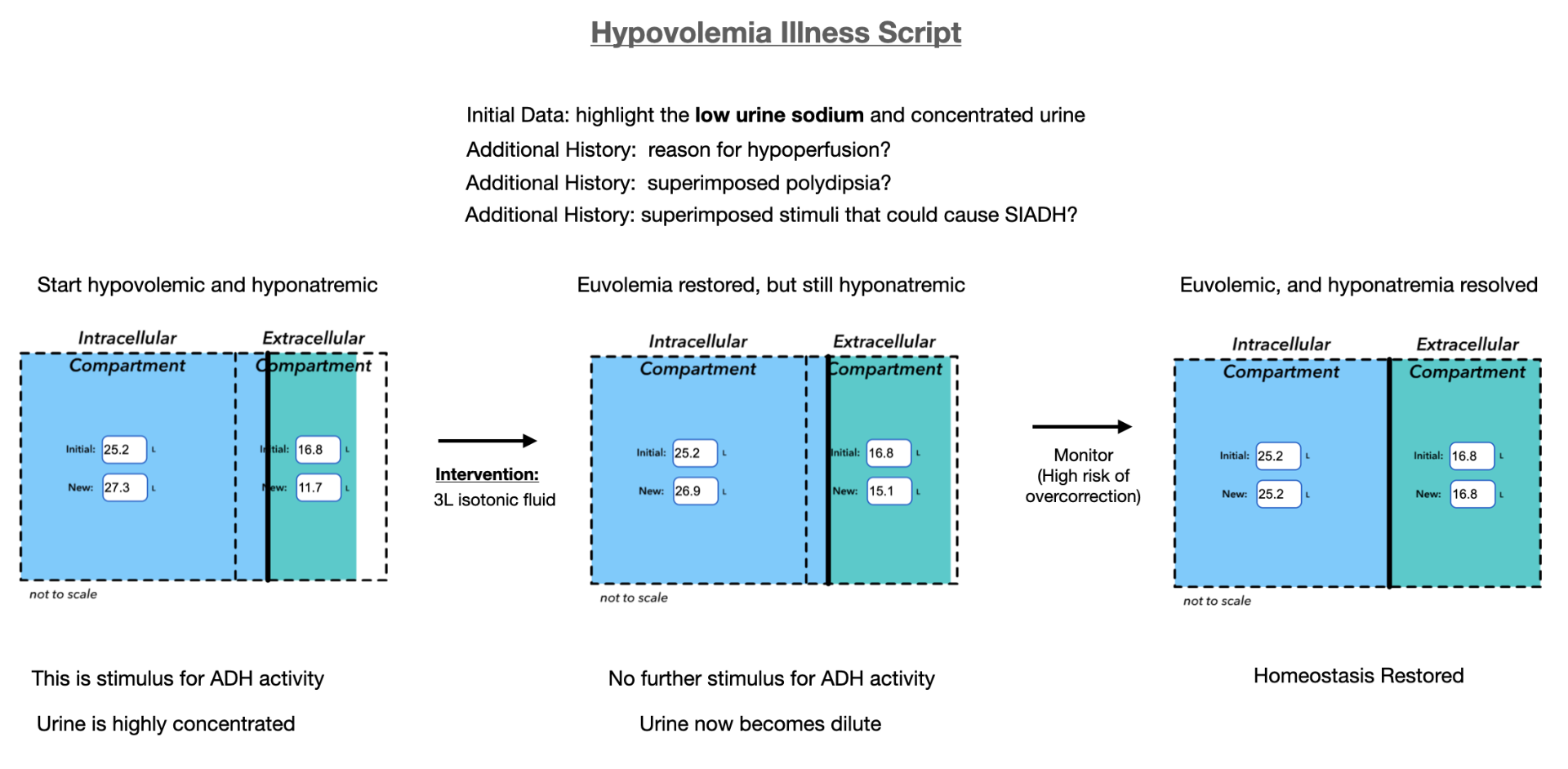 GitHub - william-hu-codes/hyponatremia-simulation: Virtual patient simulator developed to train ...