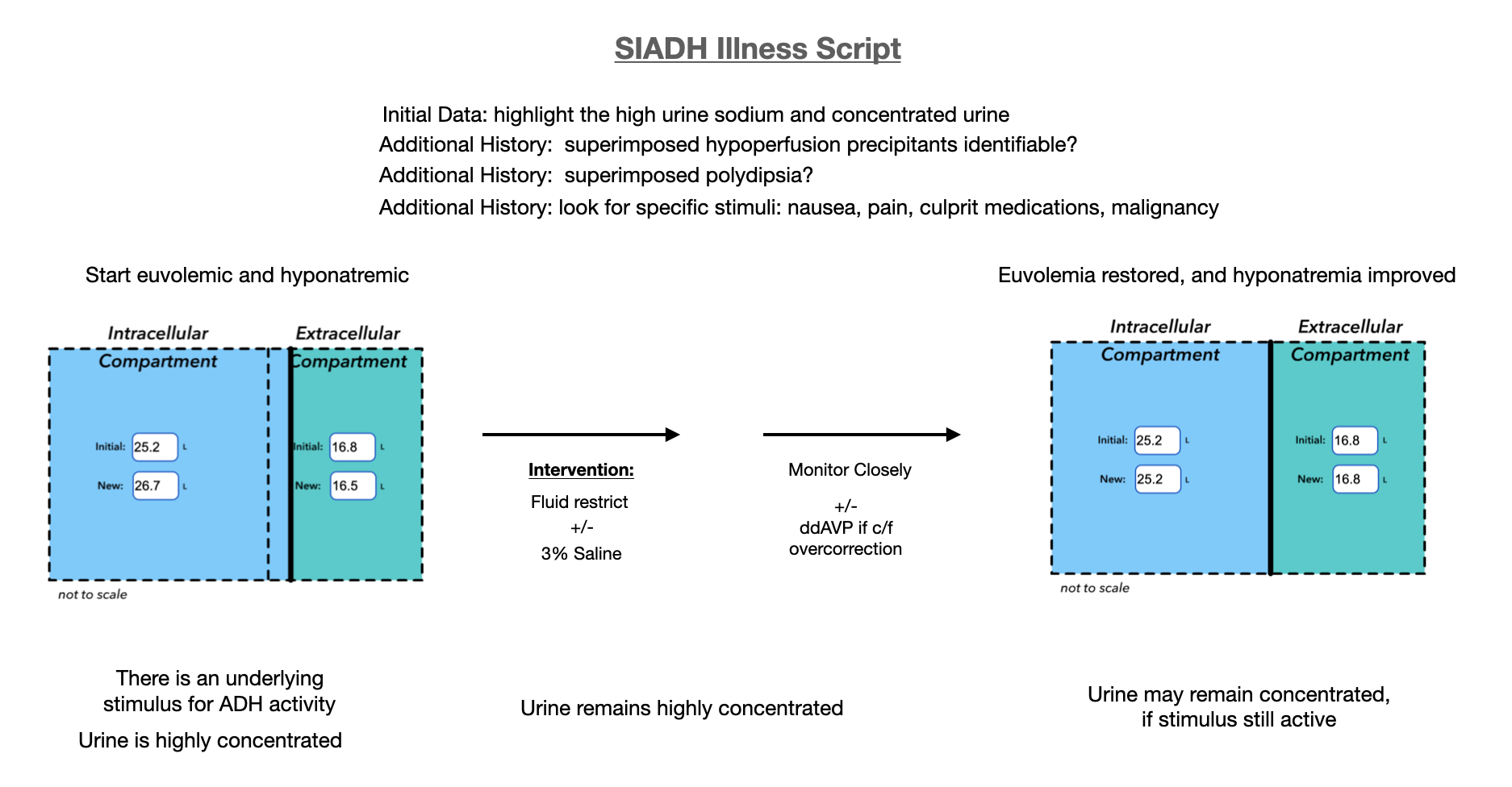 GitHub - william-hu-codes/hyponatremia-simulation: Virtual patient simulator developed to train ...