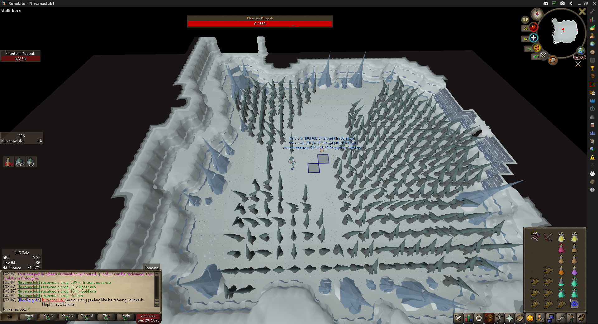 chat command for pets is busted · Issue #16720 · runelite/runelite · GitHub