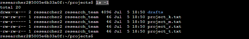 GitHub - MarcoSantibanez/Managing-Permissions-Using-Linux: In this project the analyst was ...