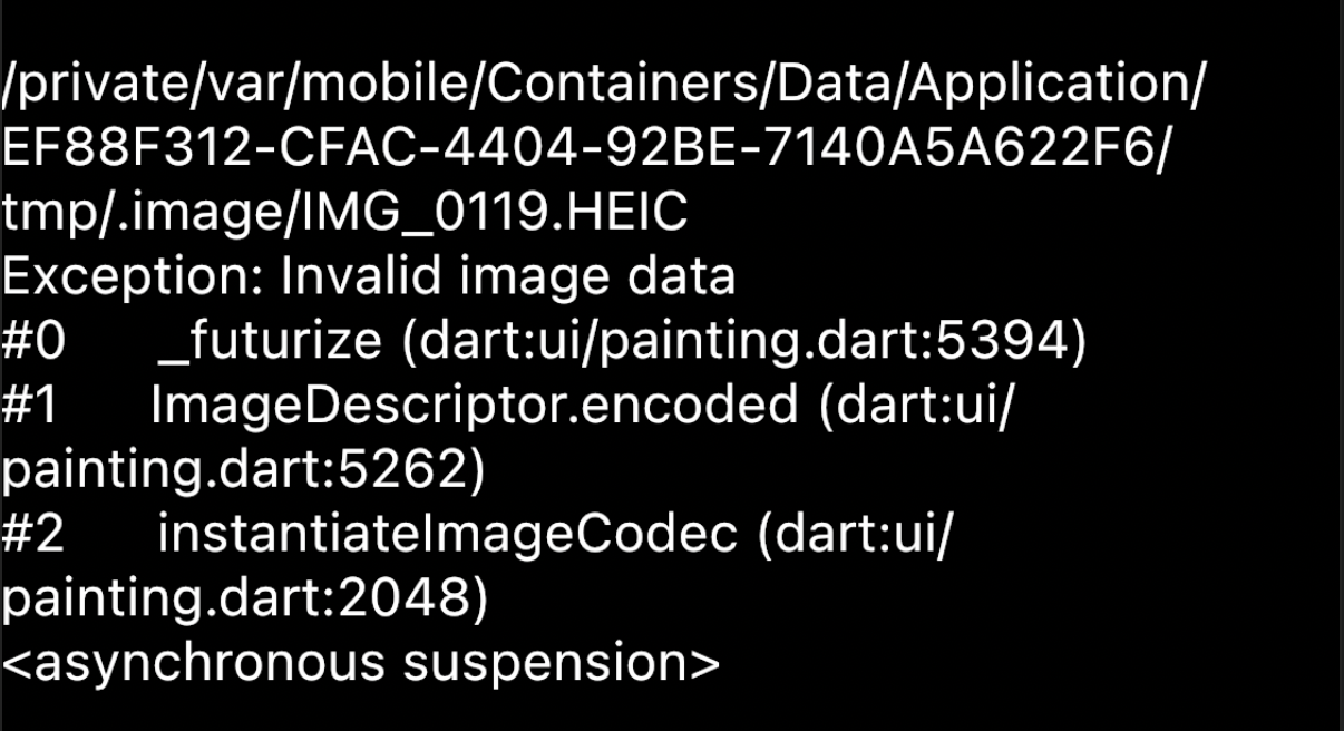 HEIC images are not rendered in release mode, throws `Exception: Invalid Image Data` · Issue ...