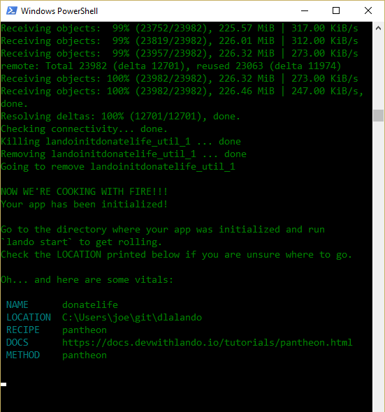 Lando fails to free up command prompt if Docker isn't running first · Issue #1063 · lando/lando ...