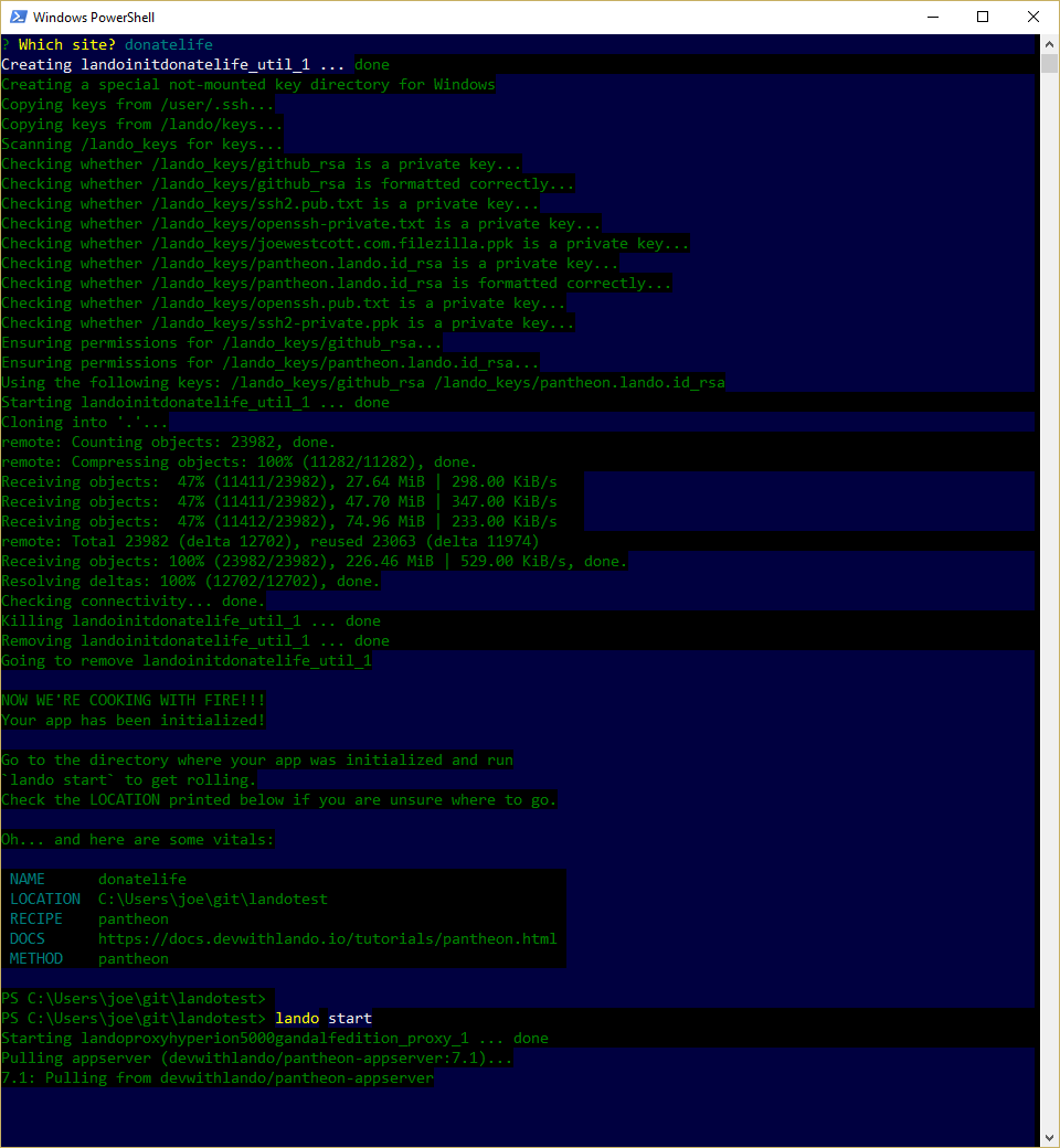 Lando fails to free up command prompt if Docker isn't running first · Issue #1063 · lando/lando ...