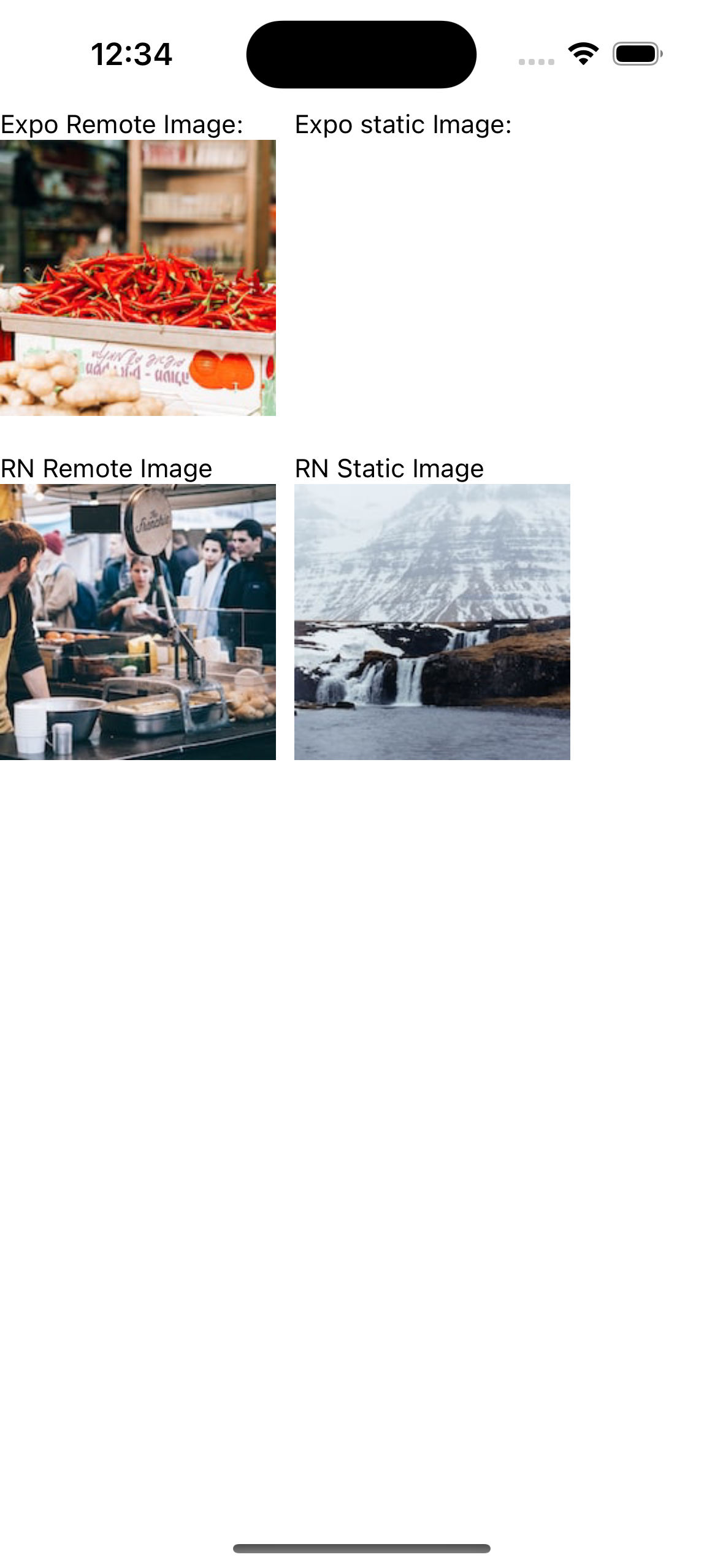 expo image Static IOS Assets Images Doesn t Work Issue 23665 expo-image-static-ios-assets-images-doesn-t-work-issue-23665