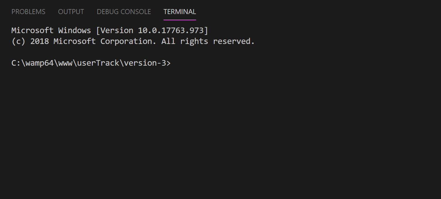 Initial text in integrated terminal disappears when starting to type ...