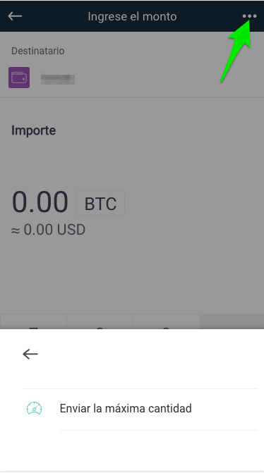 Insufficient funds · Issue #6700 · bitpay/wallet · GitHub