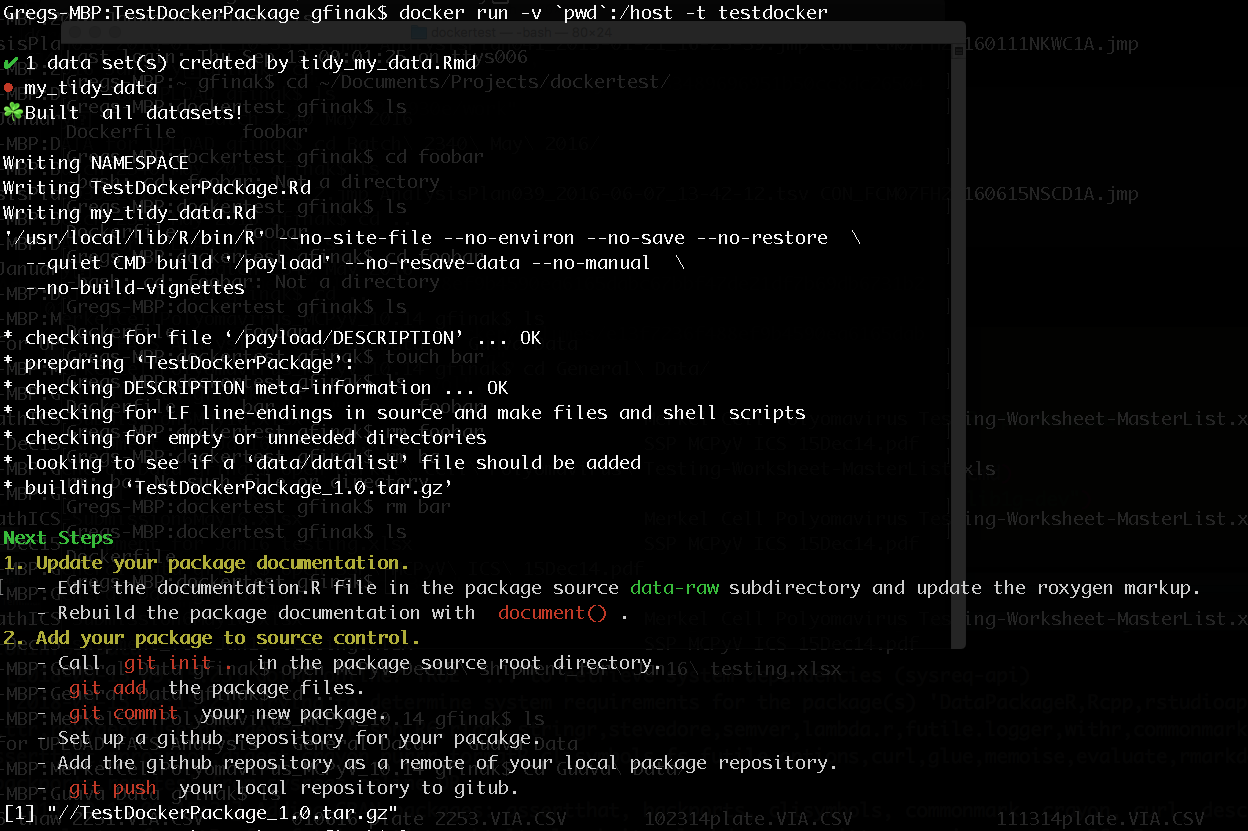 Integration of Docker? · Issue #52 · ropensci/DataPackageR · GitHub