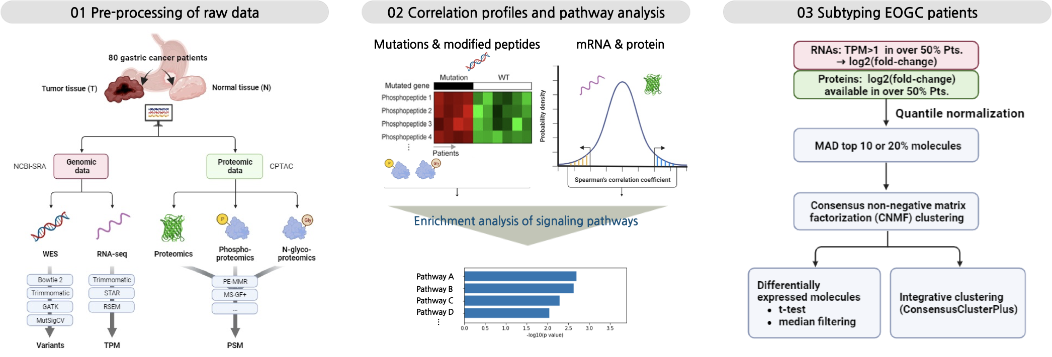 GitHub - SeoheeK/Human-Early-Onset-Gastric-Cancer-Multi-Omics-Analysis