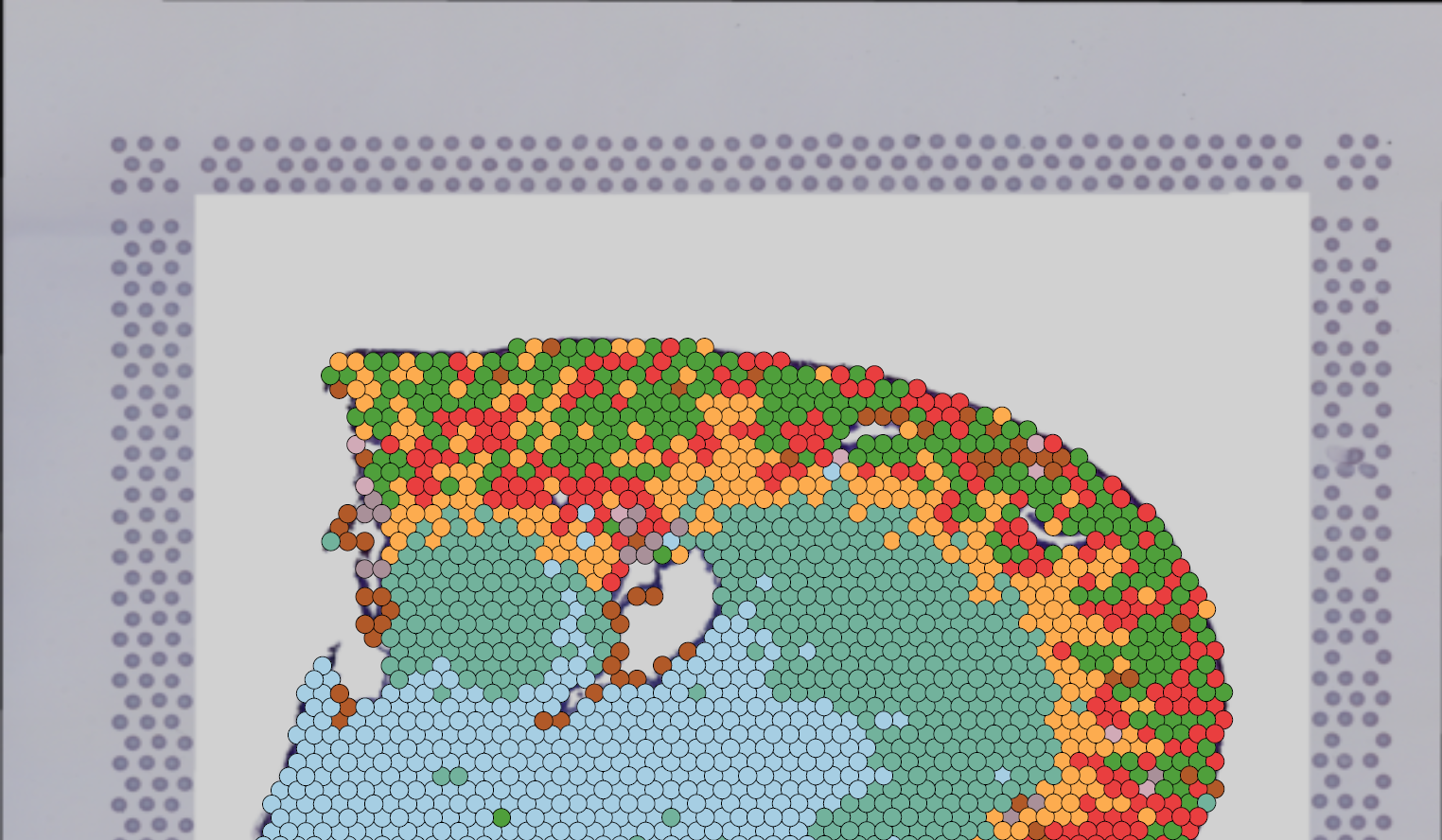 How to select appropriate pt.size.factor parameter in SpatialDimPlot ...