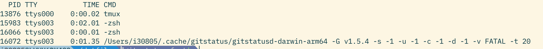Question! Additonal process for same session. · Issue #380 · romkatv/gitstatus · GitHub