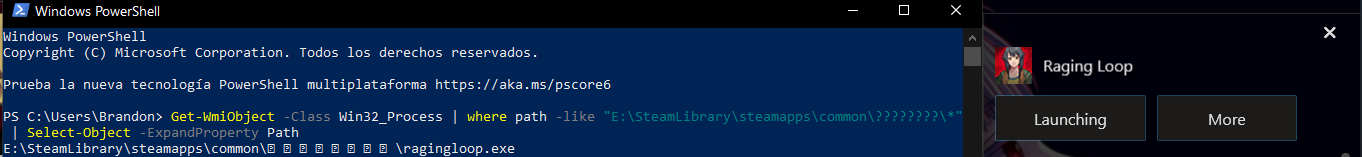 Steam game not getting detected as running by Playnite · Issue #1850 ...
