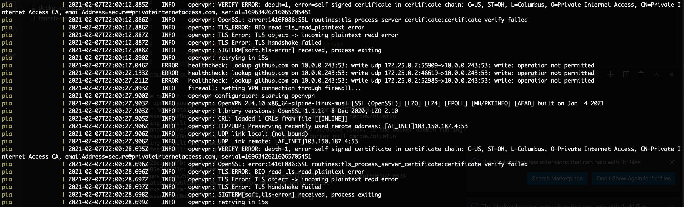 Feature request: Set a custom port for PIA VPN · Issue #348 · qdm12/gluetun · GitHub