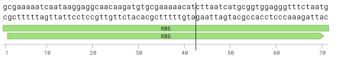 Sequences With Only One Annotation Are Not Rendered Correctly · Issue 60 · Lattice Automation