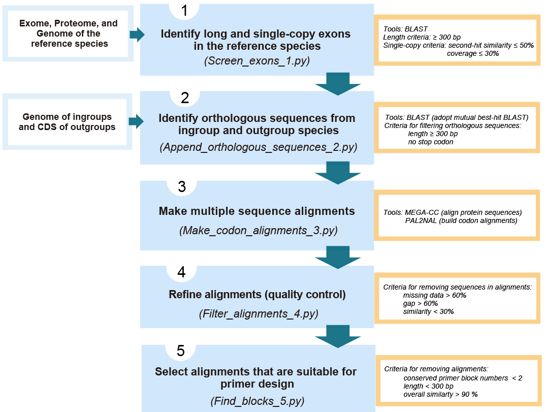 GitHub - zhangpenglab/UPrimer: UPrimer is a program to automatically ...