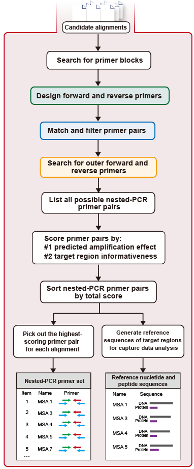 GitHub - zhangpenglab/UPrimer: UPrimer is a program to automatically ...