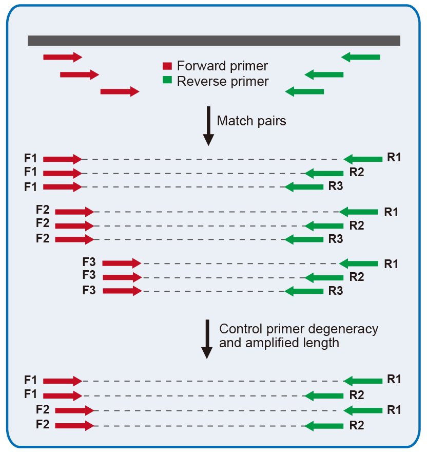 GitHub - zhangpenglab/UPrimer: UPrimer is a program to automatically ...